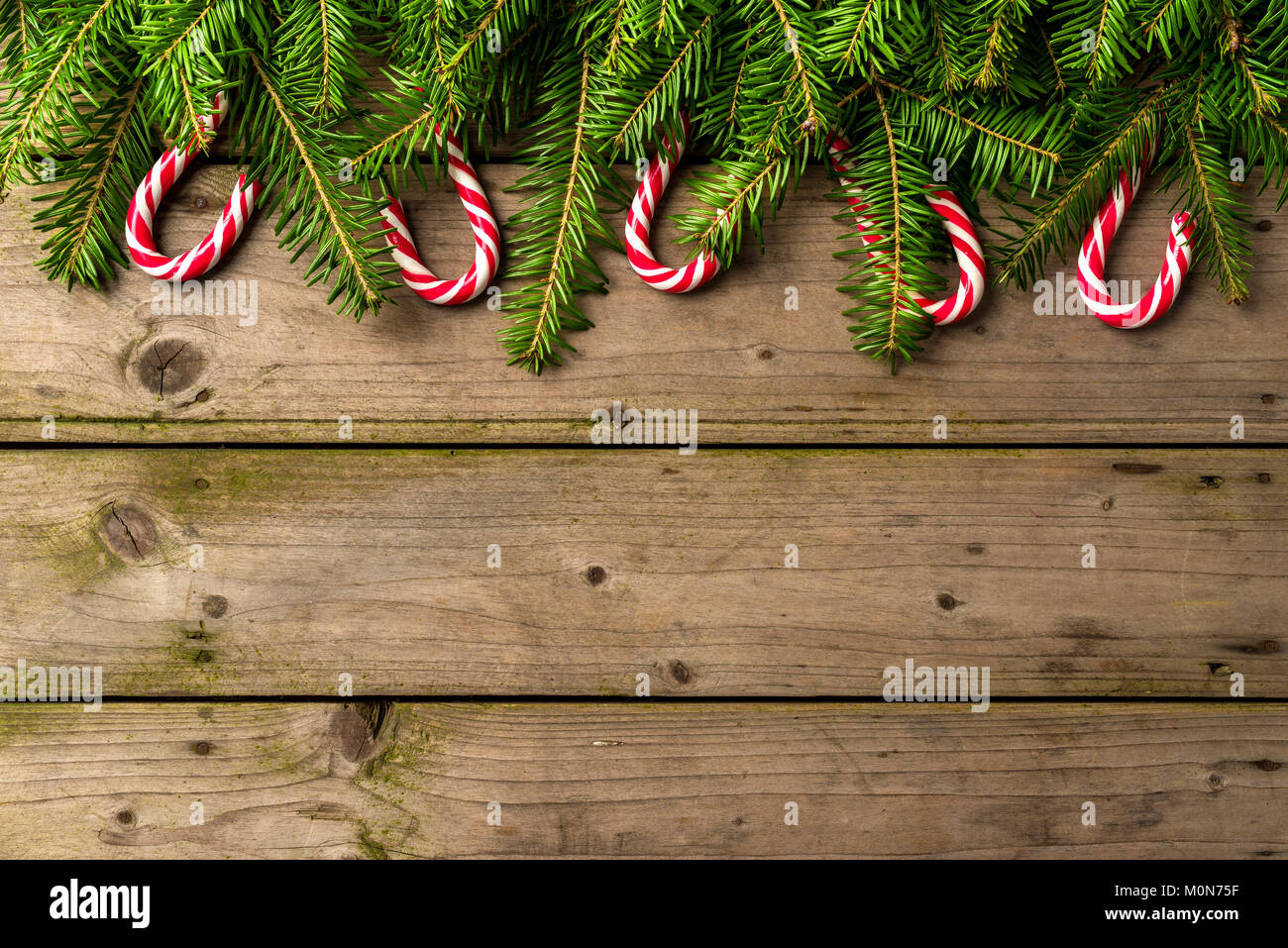 Christmas background with tree and candy canes Stock Photo - Alamy