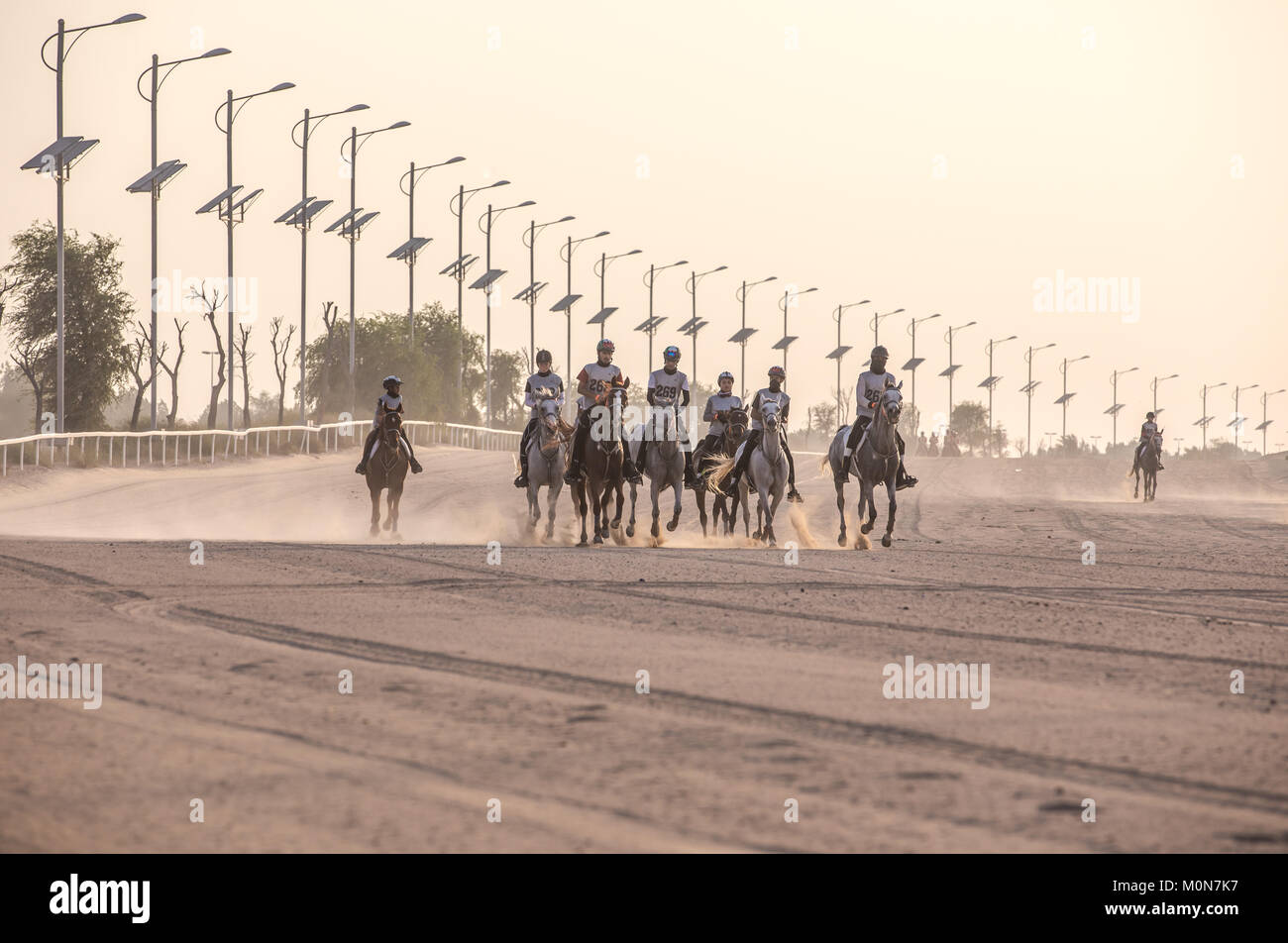 Athletic riders competing in a long-distance endurance race in the ...