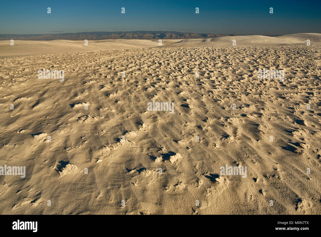 Cemented sand crust at gypsum dunes at sunset in Alkali Flat Trail area ...