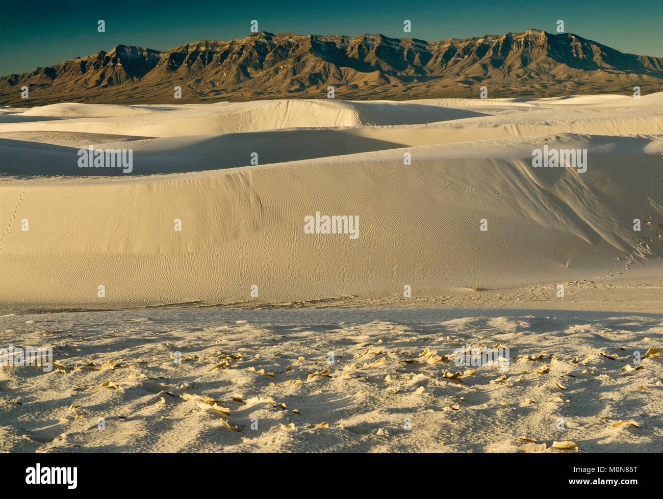 Cemented gypsum sand crust at dunes in Alkali Flat Trail area, San ...