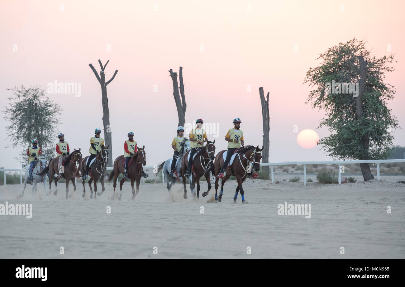 Athletic riders competing in a long-distance endurance race in the ...