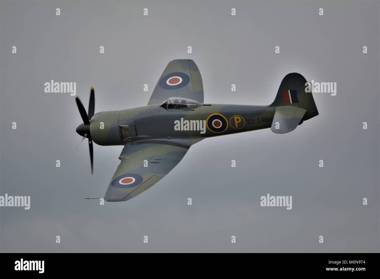 Hawker sea fury world war 2 navy fighter Stock Photo - Alamy