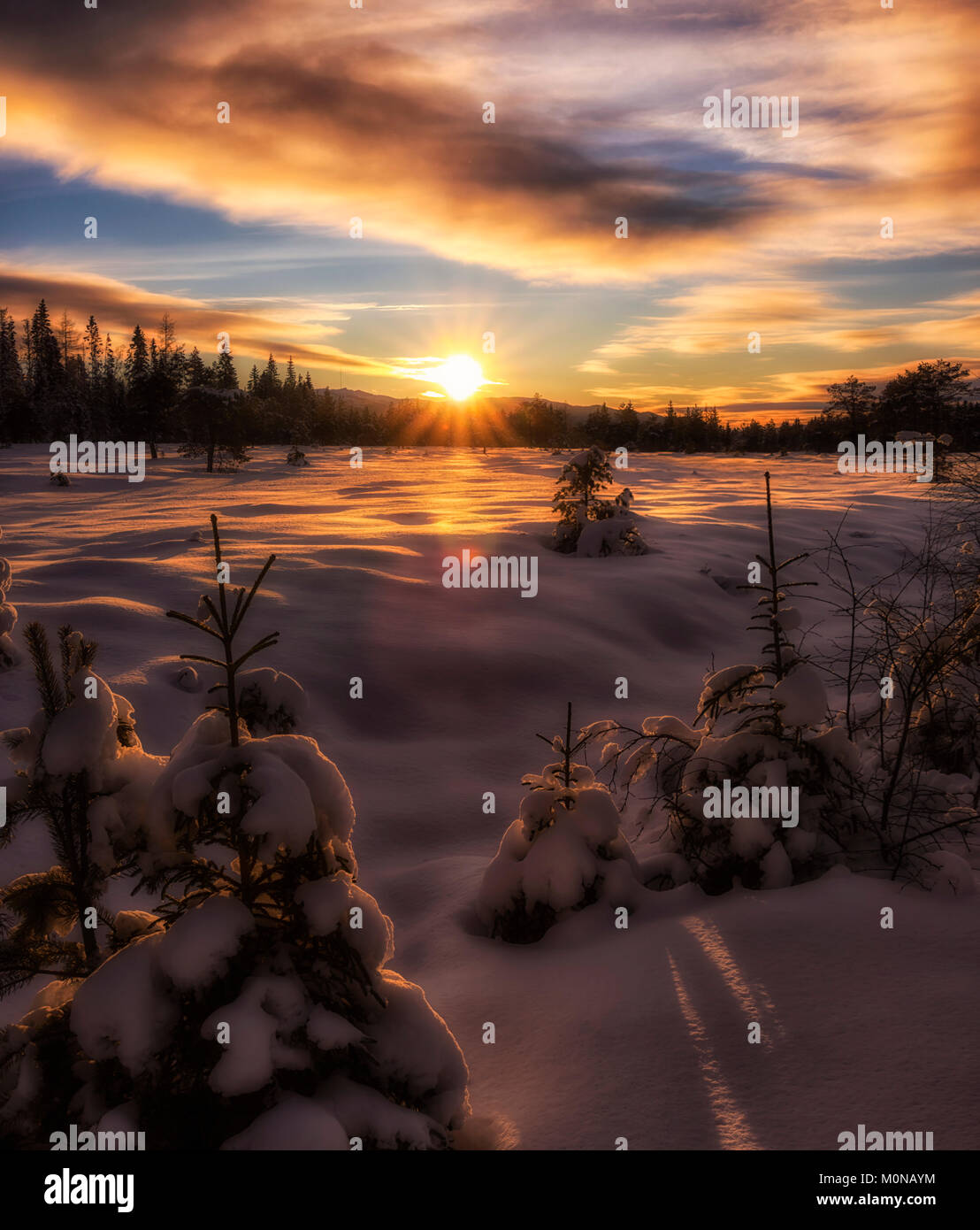 Golden Hour in Winterland Stock Photo - Alamy