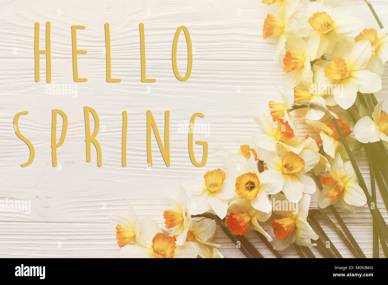 hello spring text. spring image flat lay with beautiful yellow ...