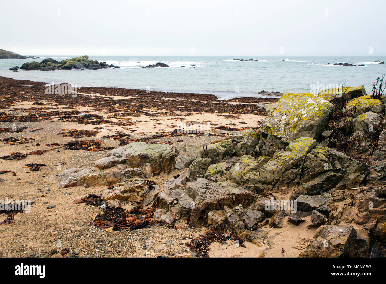 Porth nobla anglesey hi-res stock photography and images - Alamy