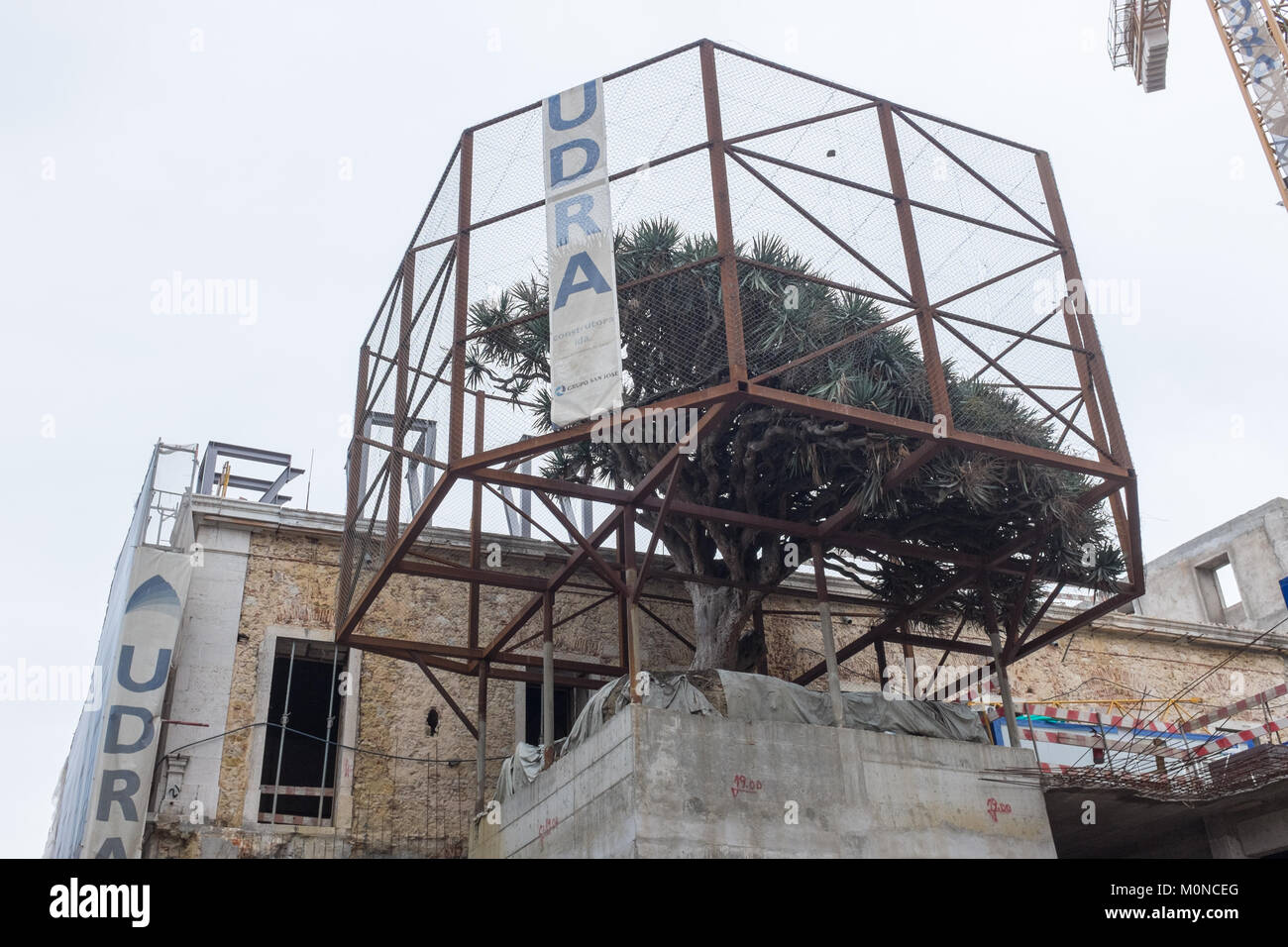 Tree cage hi-res stock photography and images - Alamy