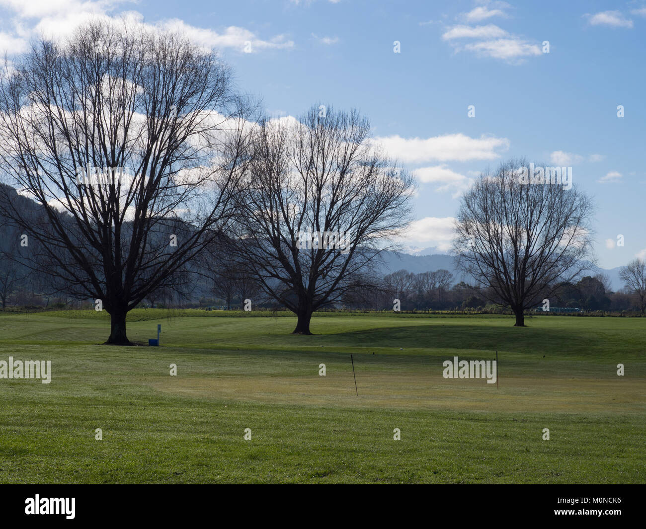 Three trees in a row hi-res stock photography and images - Alamy