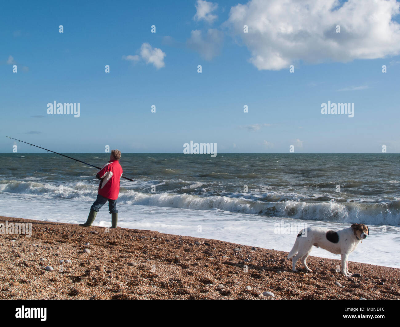 Fishing with dog hi-res stock photography and images - Alamy