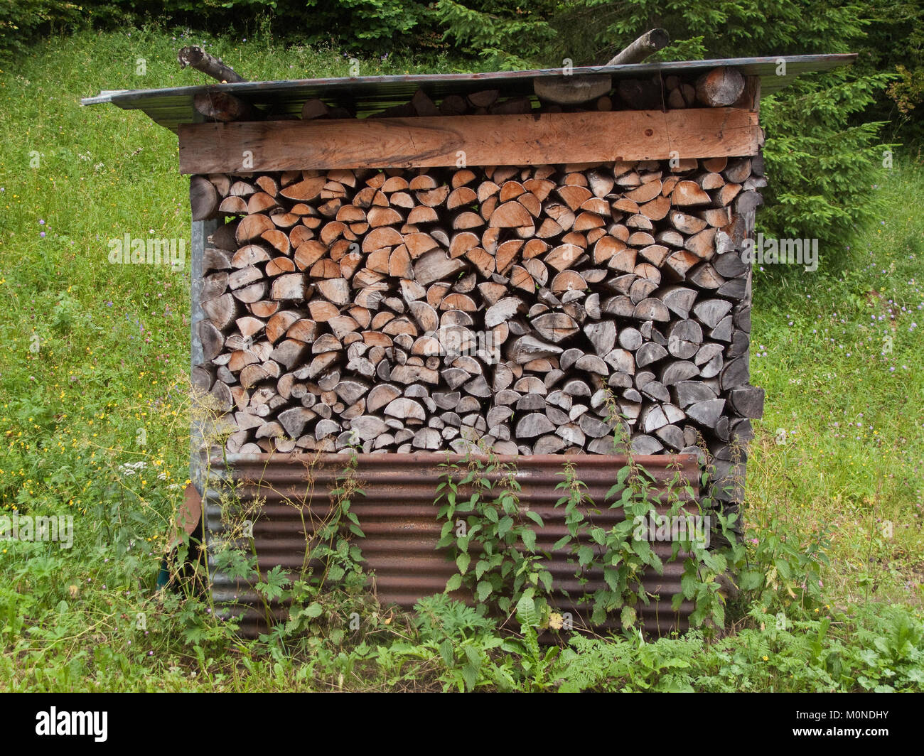 Log Store High Resolution Stock Photography and Images - Alamy