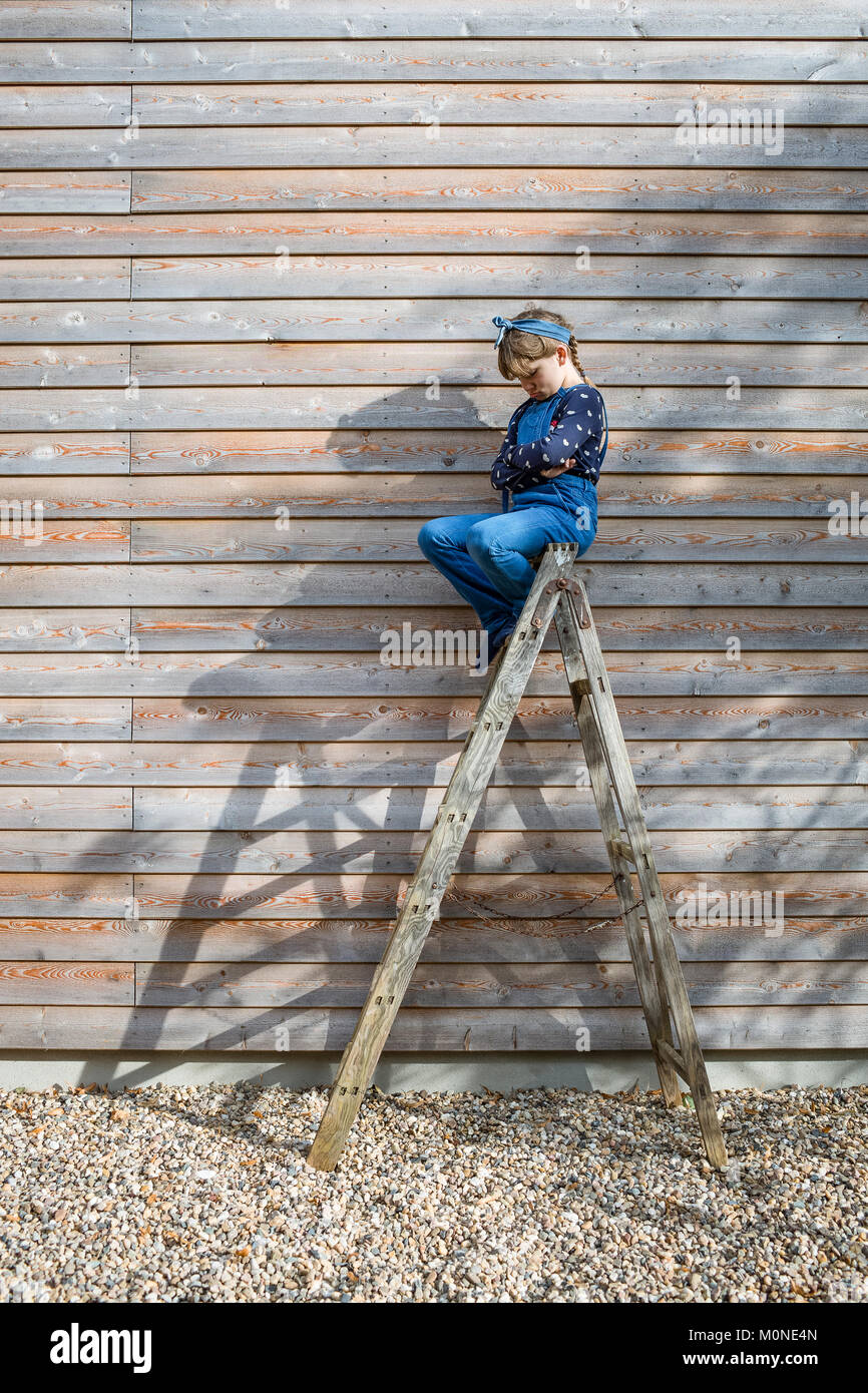 Bad Use Of Ladder Stock Photos & Bad Use Of Ladder Stock Images - Alamy