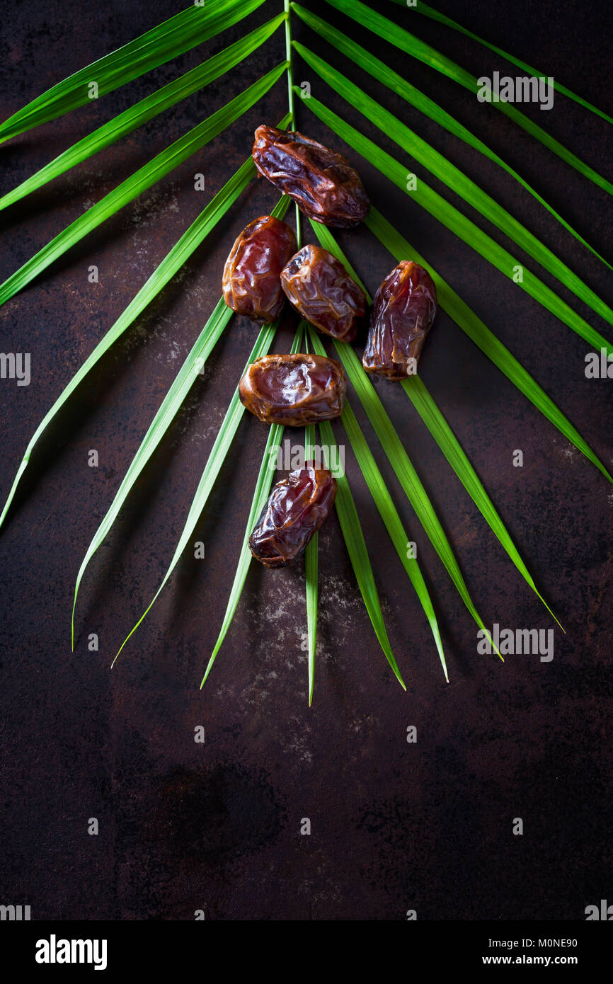 Date palm leaf hi-res stock photography and images - Alamy