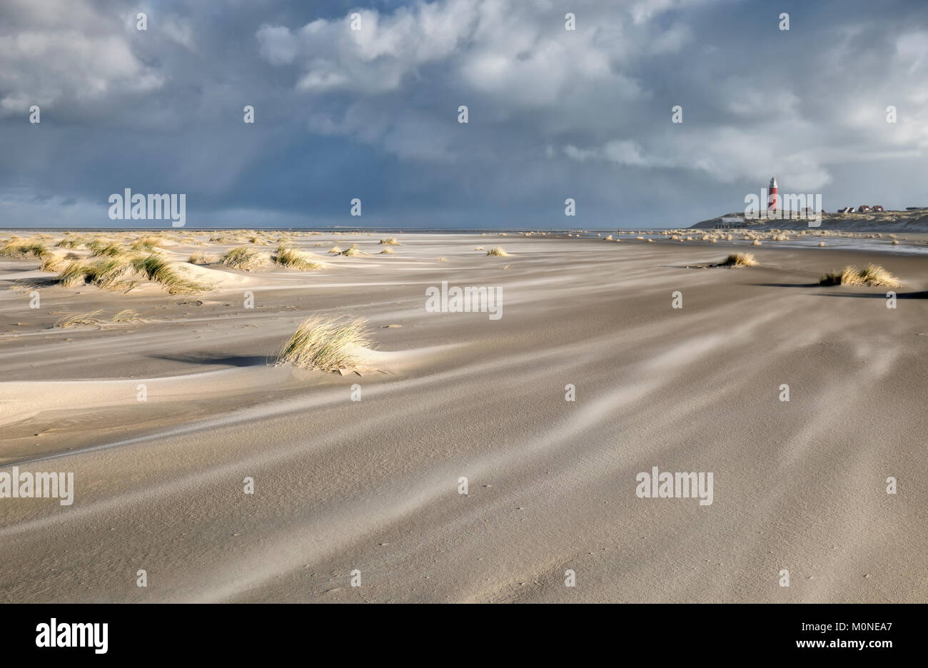 windy day on North sea sand beach Stock Photo - Alamy