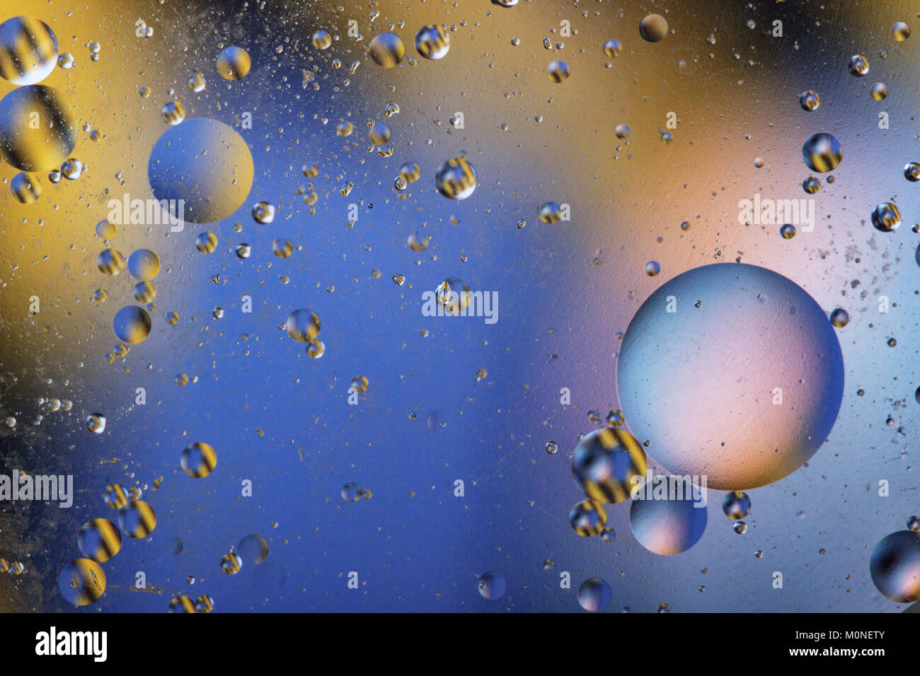 Oil bubbles in an aqueous medium on the border with a glass surface ...