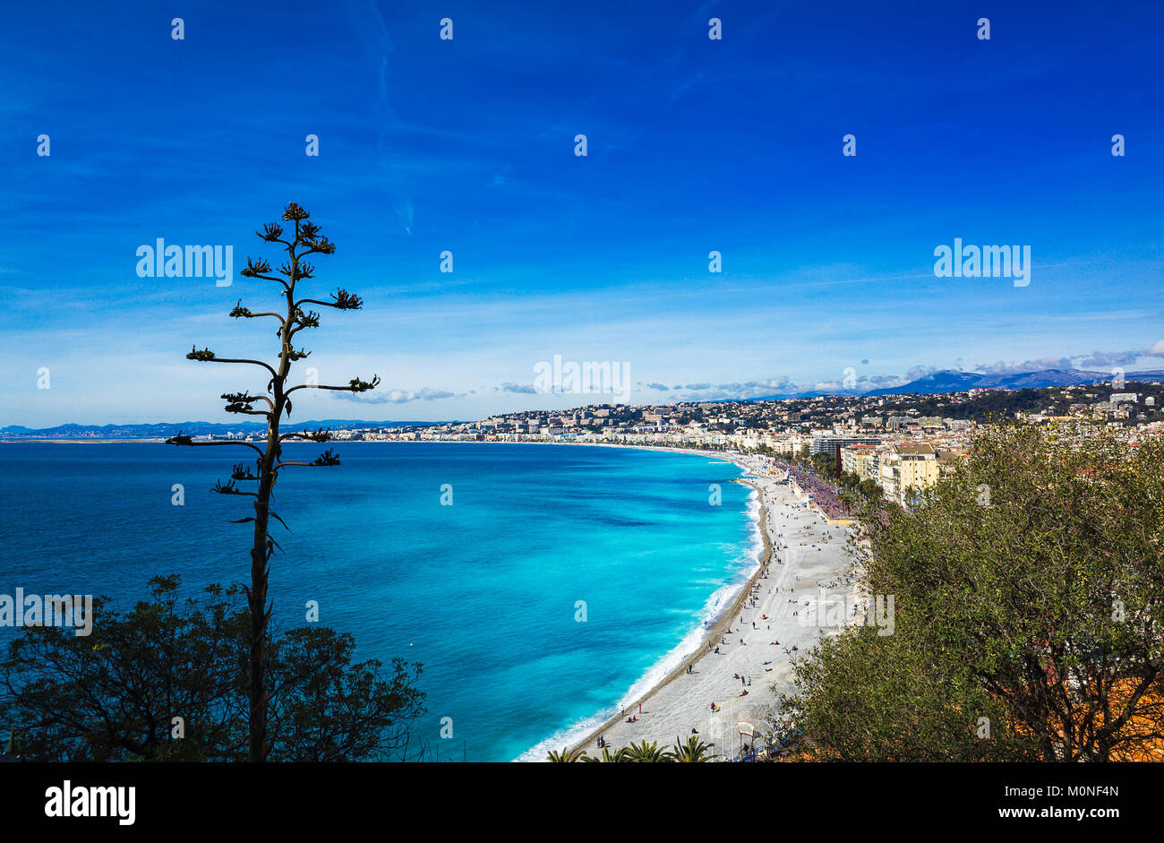 Sunny nice day hi-res stock photography and images - Alamy