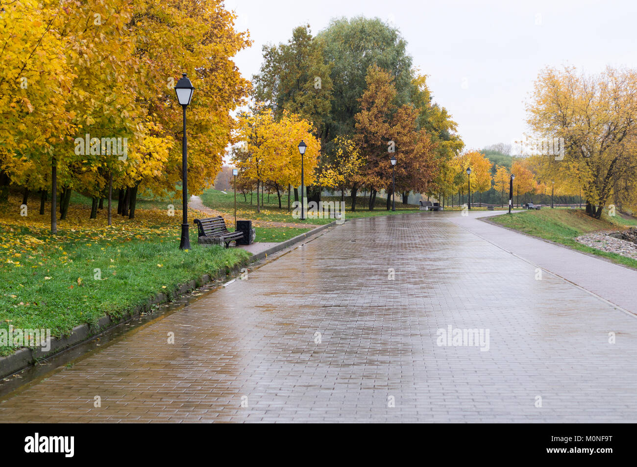 road through the park at rainy autumn morning. background, nature Stock ...