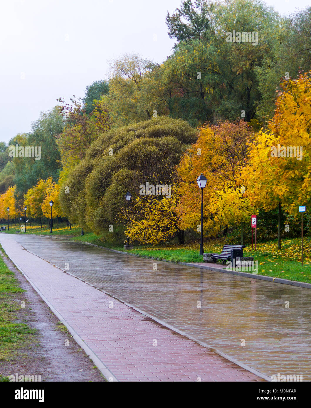 road through the park at rainy autumn morning. background, nature Stock ...