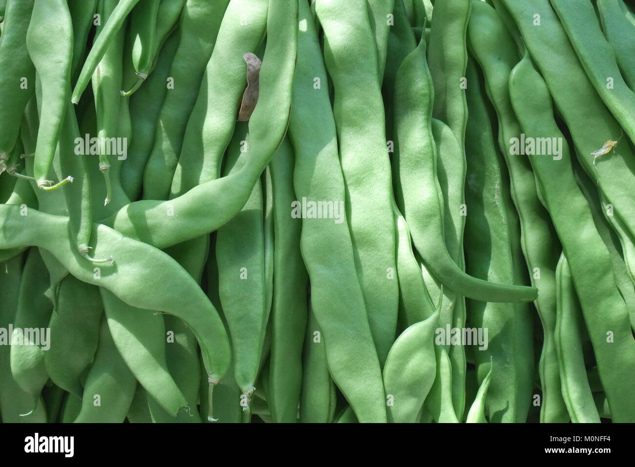 Runner beans on sale at the farmer’s market, Budaiya, Bahrain Stock ...