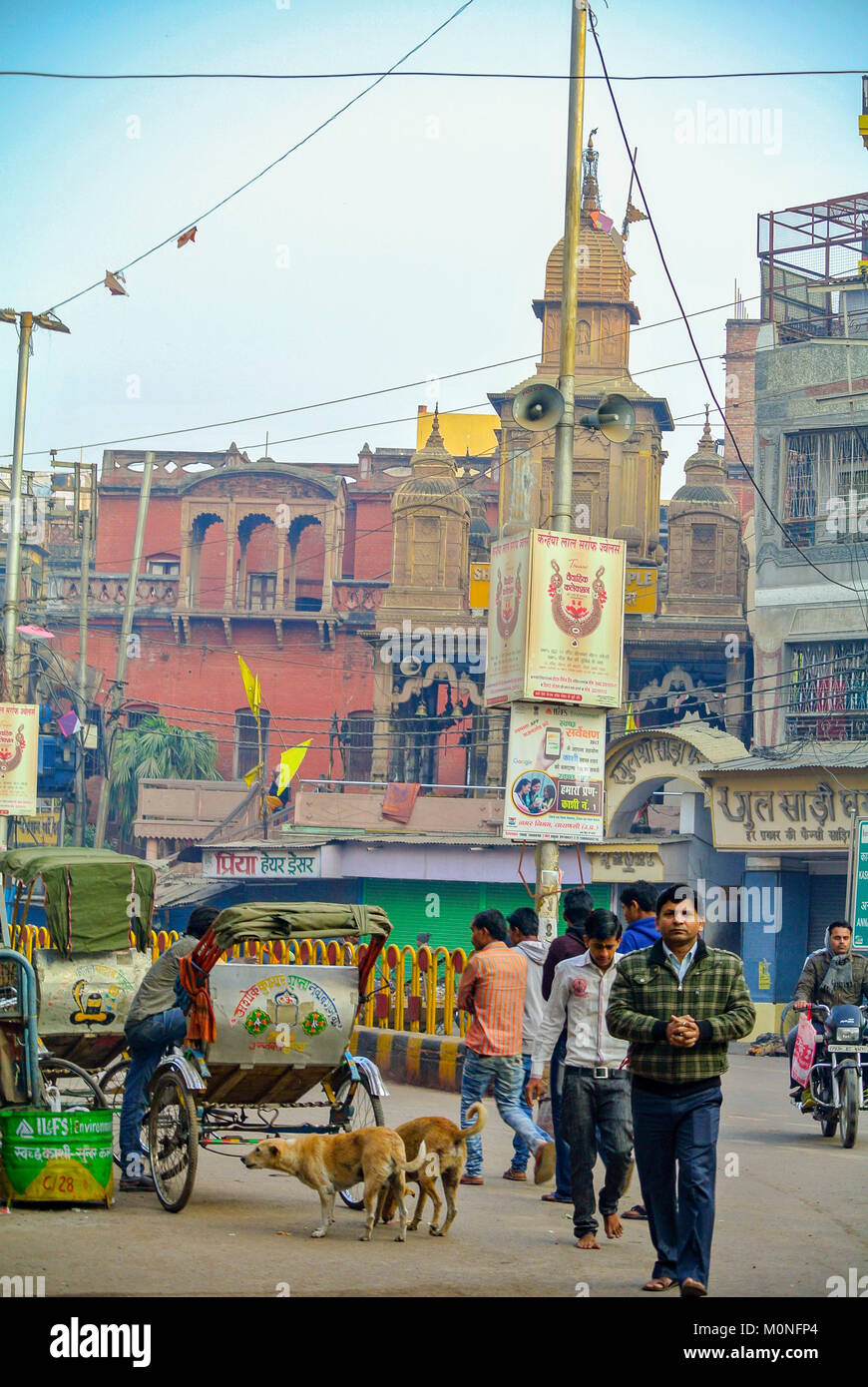 street scenen Varanasi India Stock Photo - Alamy