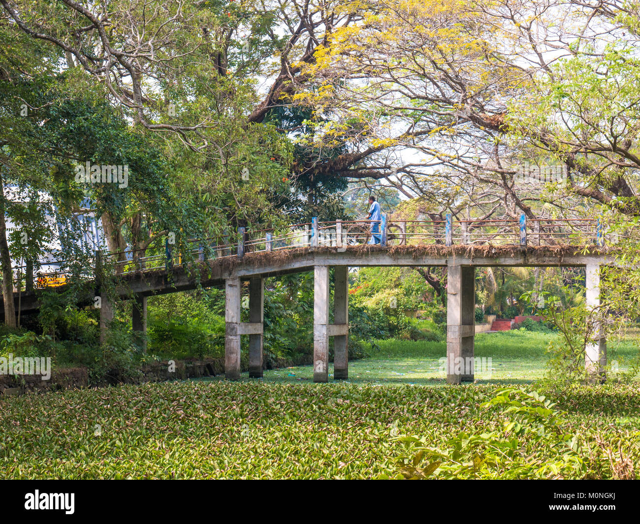 Kerala alleppey backwaters bridge hi-res stock photography and images ...