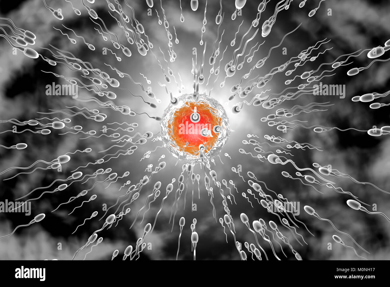 3d Rendered Illustration Visualisation Of Sperm Cells Racing To A Egg