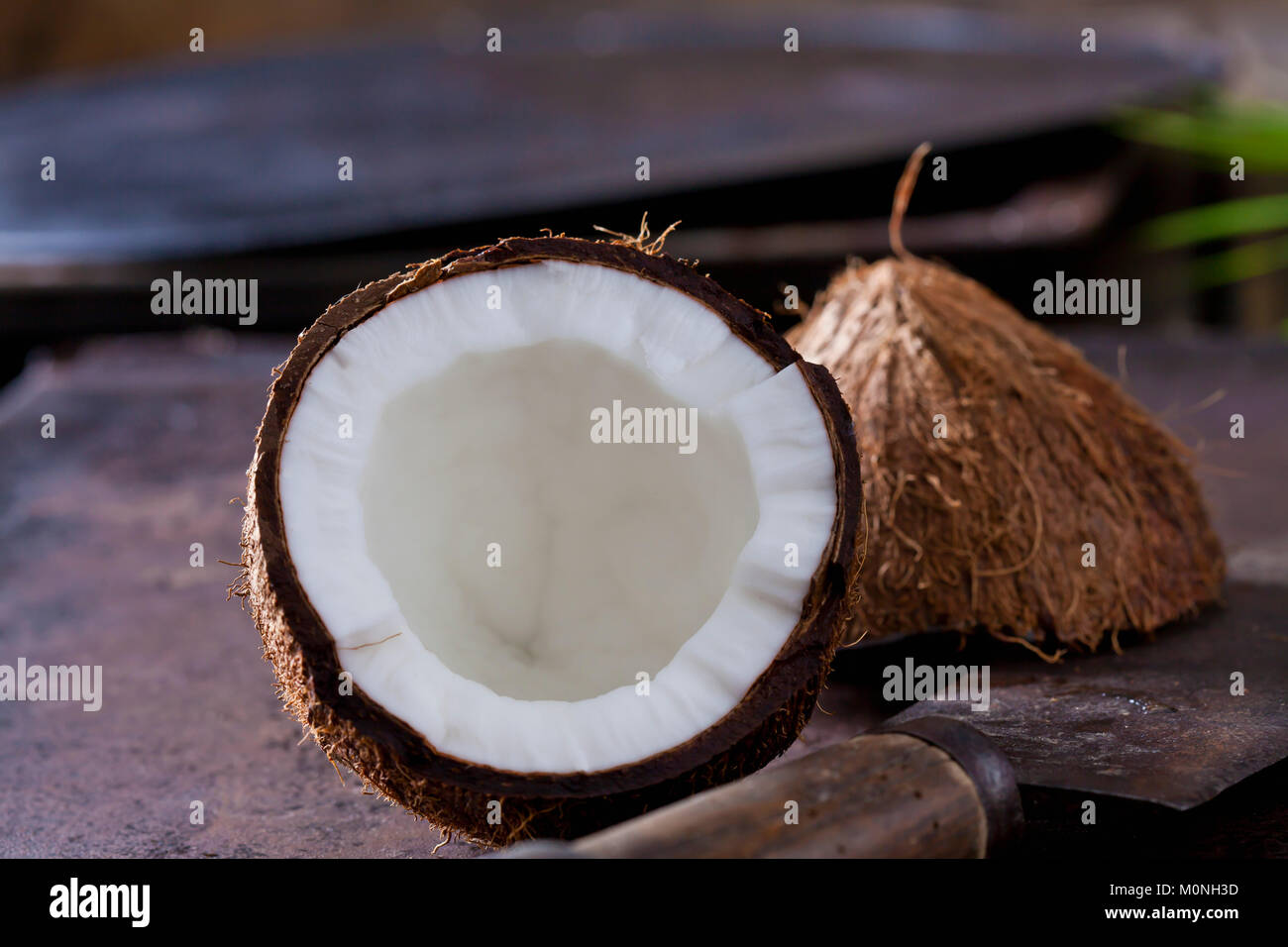 Opened coconut, close-up Stock Photo - Alamy