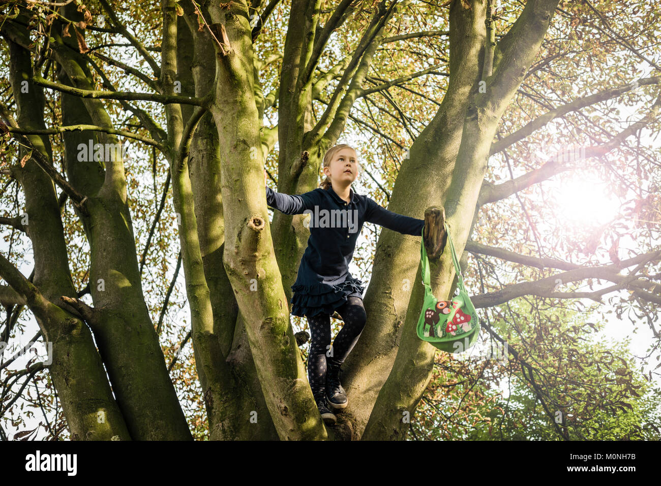 Girl climbing on a tree Stock Photo - Alamy