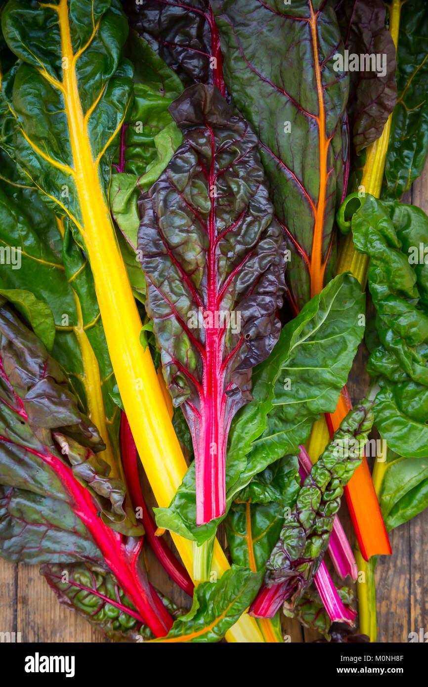 Colorful organic mangold Stock Photo - Alamy
