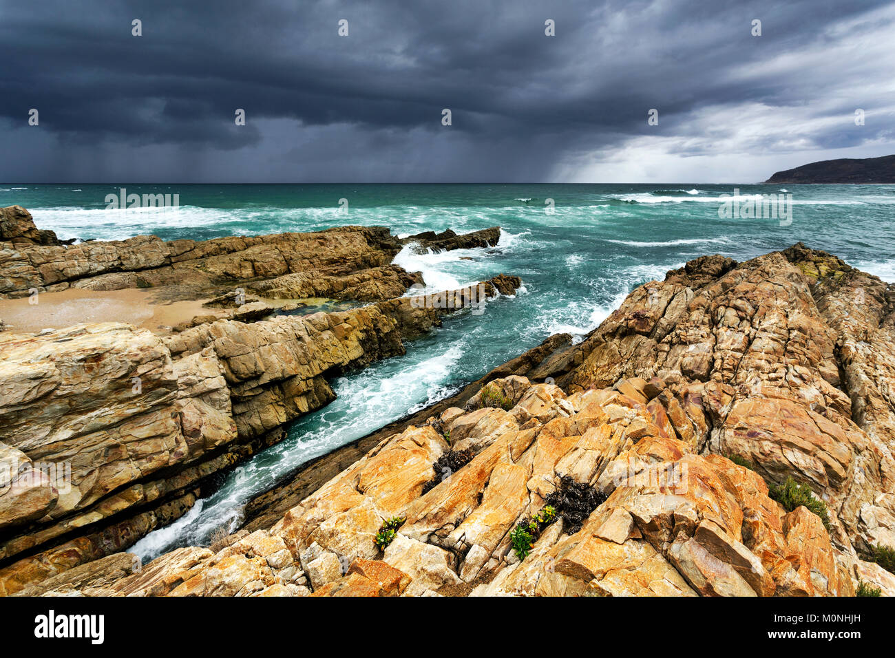 Robberg national park hi-res stock photography and images - Alamy