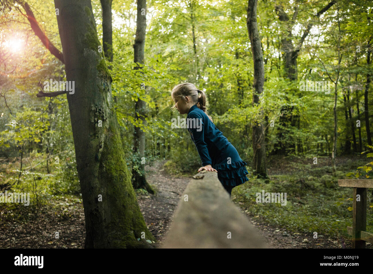 Girl playing in forest Stock Photo - Alamy