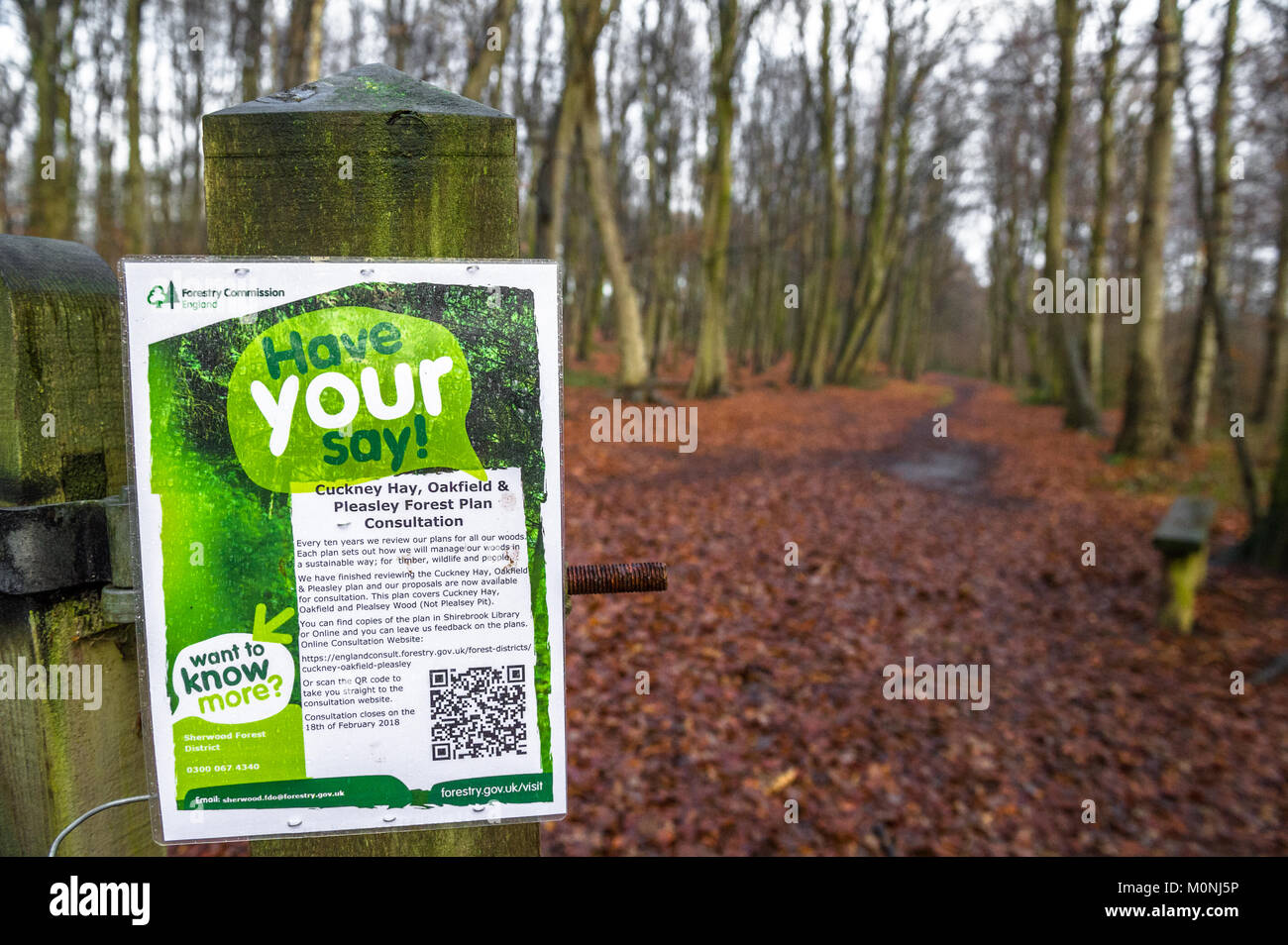 Forestry Commission England poster Forestry Commission England poster