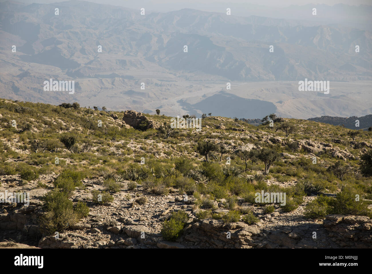 Greenery at Mountain area Stock Photo - Alamy