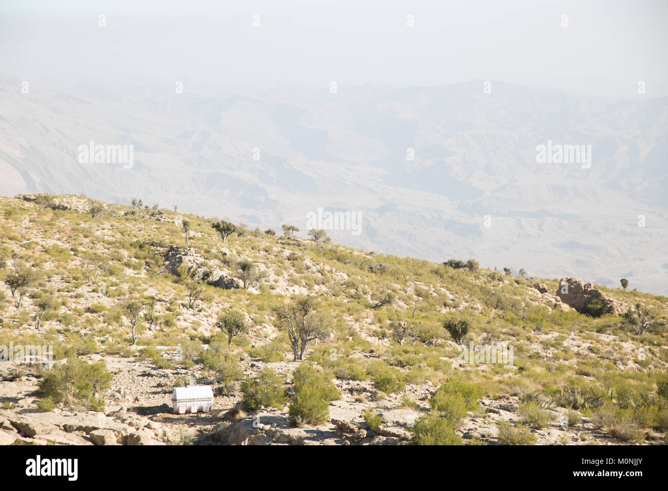 Greenery at Mountain area Stock Photo - Alamy