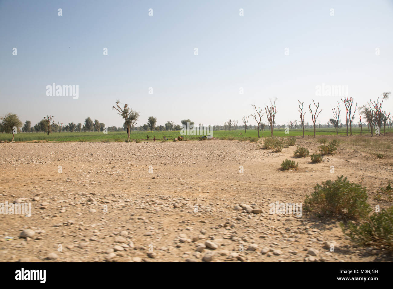 Beautiful view of field Stock Photo - Alamy