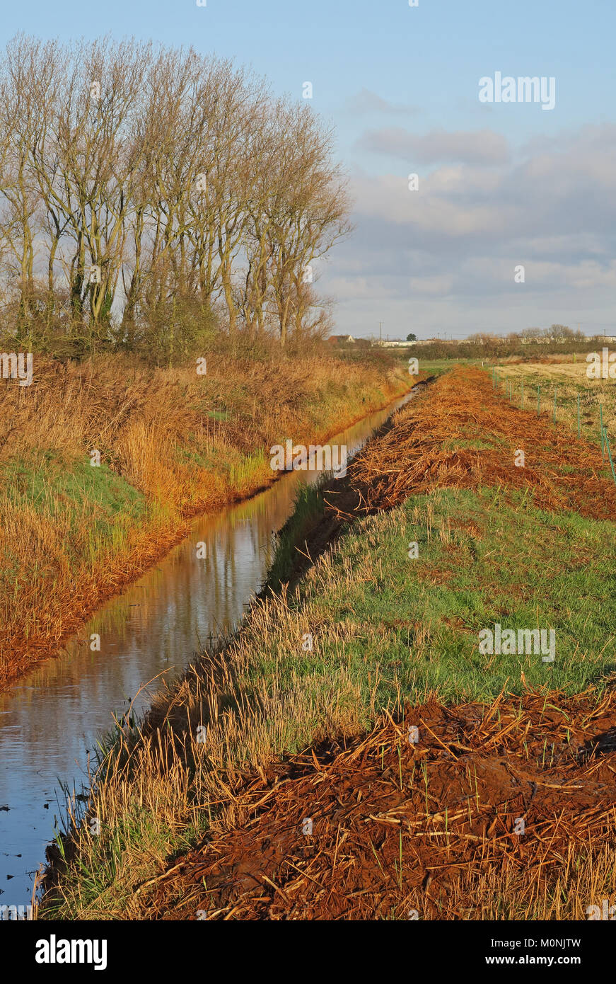 the main drainage ditch after dredging on Higher Level Stewardship Land ...
