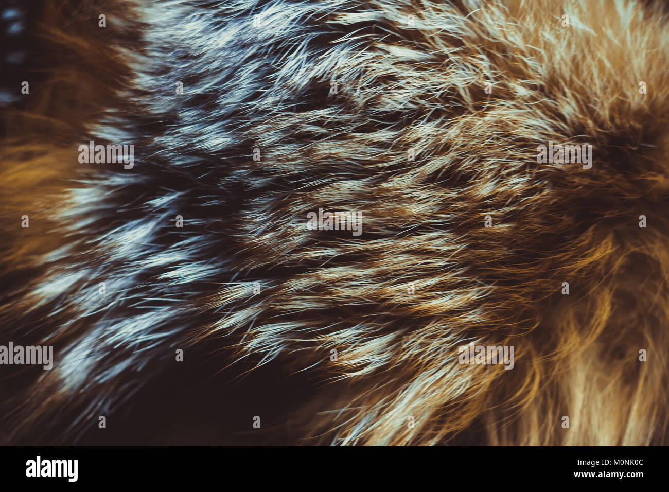 the fur from the fur texture closeup Stock Photo - Alamy
