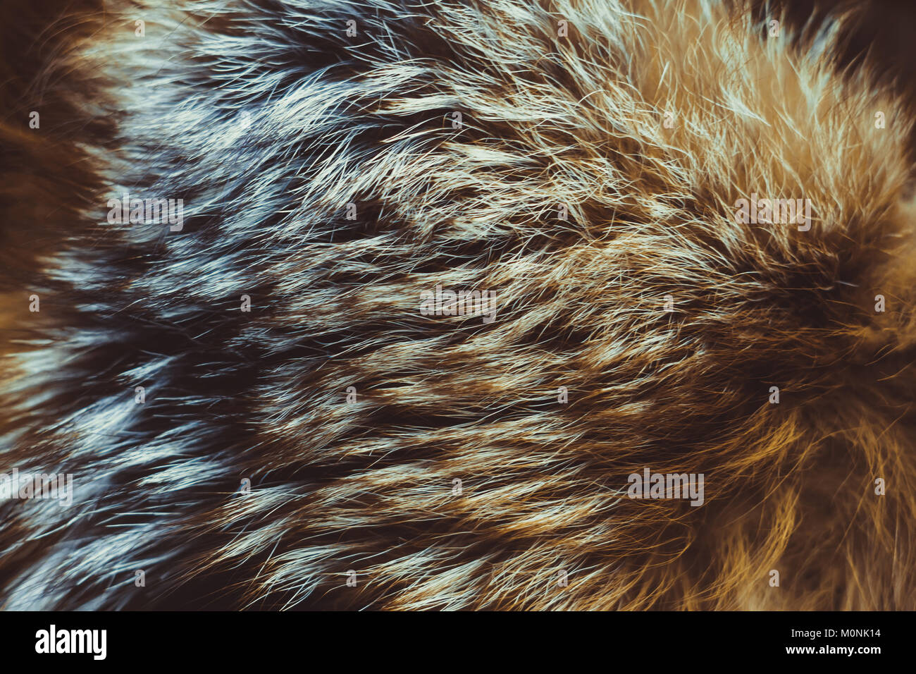 the fur from the fur texture closeup Stock Photo - Alamy