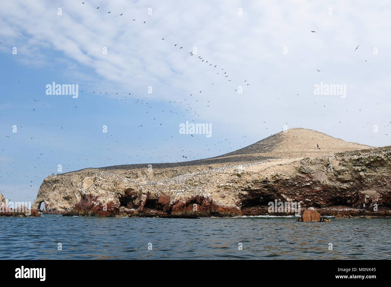 Peru, South Coast, Islas Ballestas near Paracas National Park, although ...