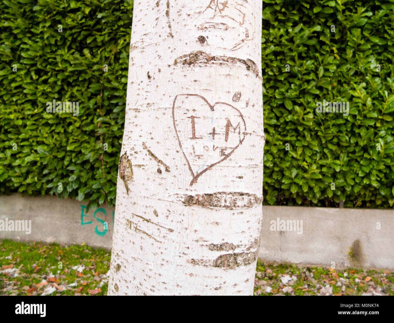 Love graffiti drawing heart wood hi-res stock photography and images ...
