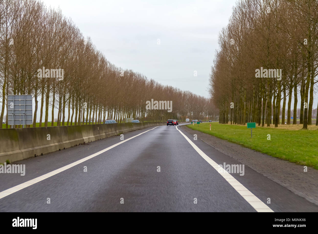 roadside scenery on a avenue in the Netherlands Stock Photo - Alamy