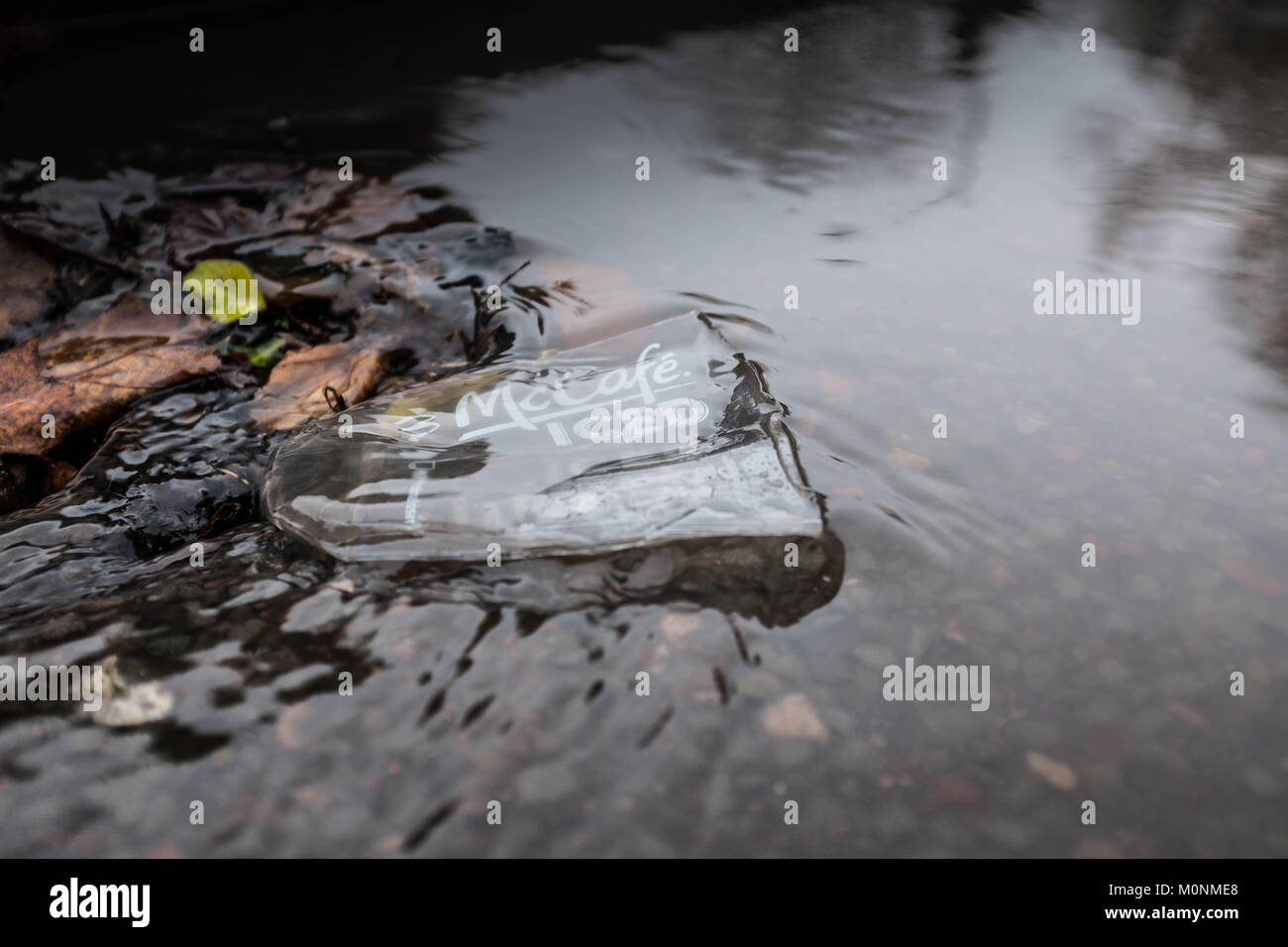 McDonalds litter floating in a puddle Stock Photo - Alamy