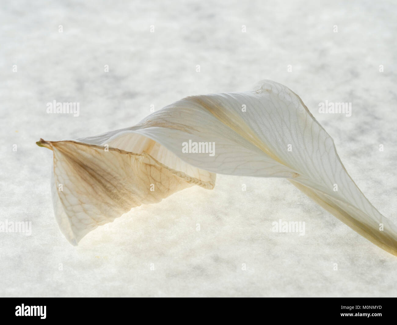 Fading romance hi-res stock photography and images - Alamy