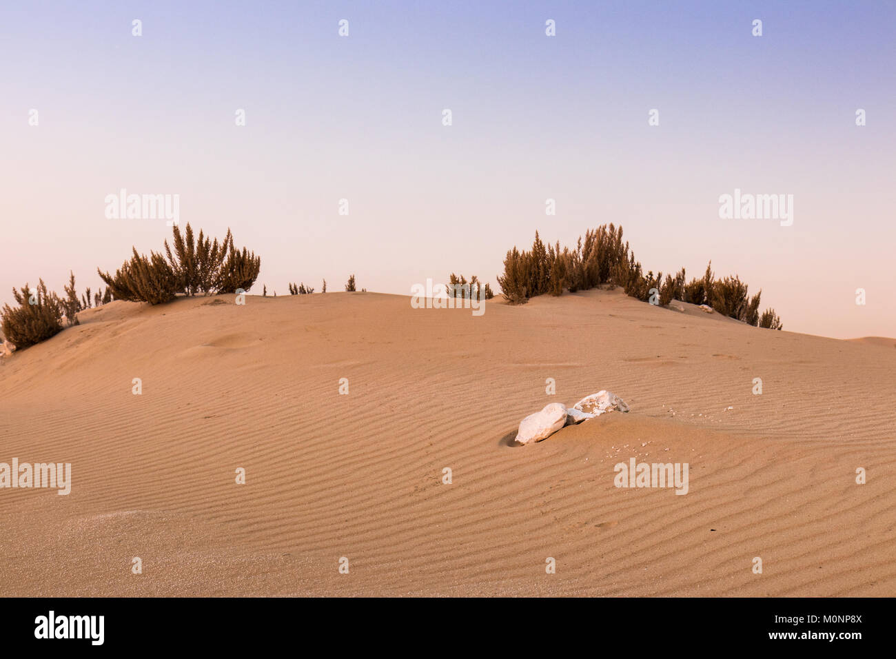 A scene picked to demonstrate a sterile and inhospitable environment ...