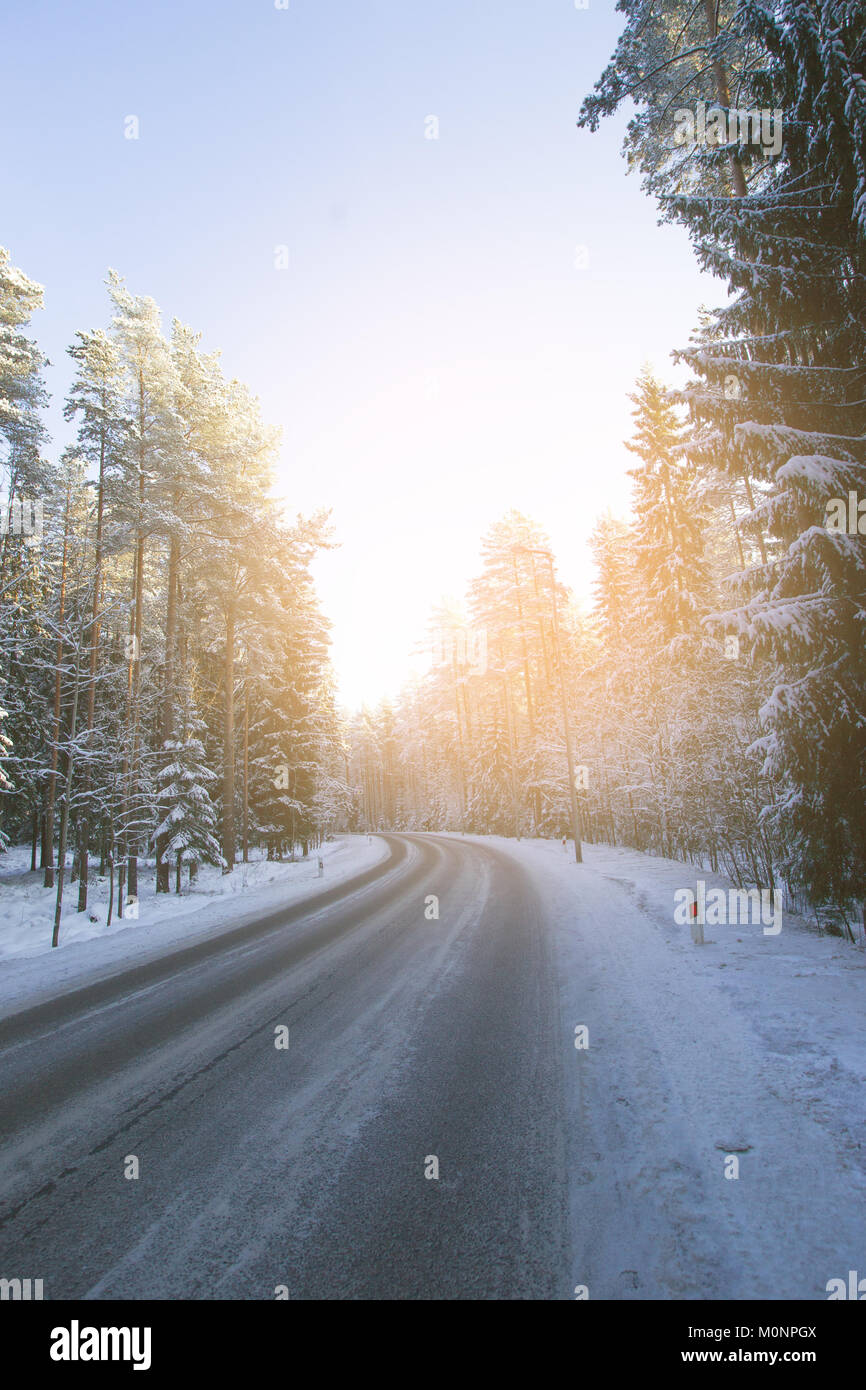 road in the winter forest Stock Photo - Alamy
