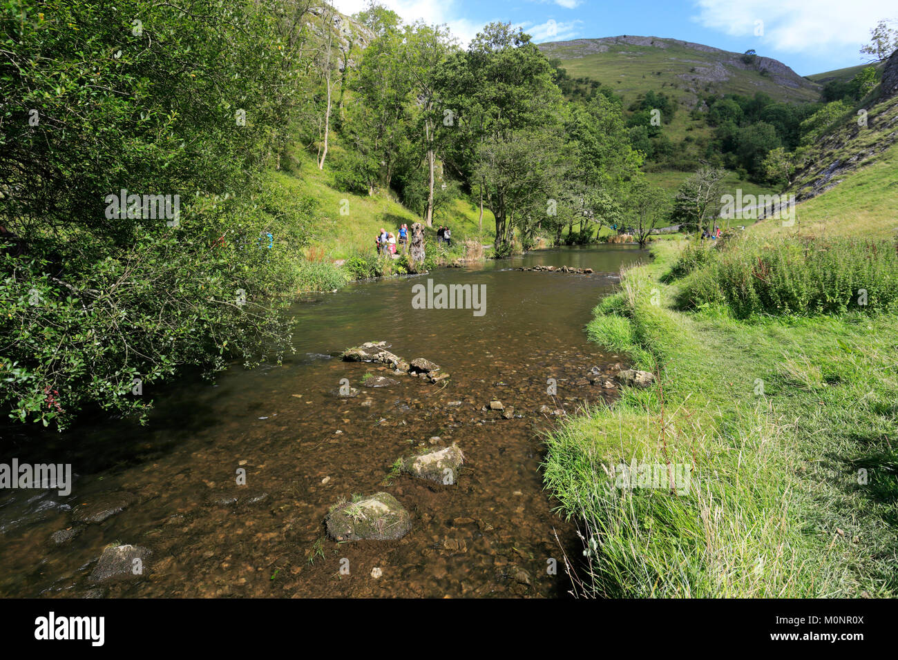 Summer view of the river Dove, Dovedale ; Staffordshire; England; UK ...