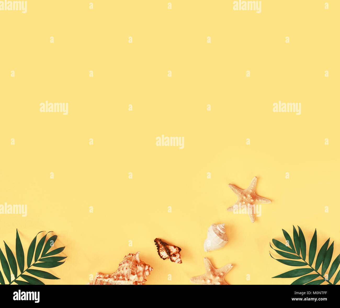 Tropical Background. Palm Trees Branches with starfish and seashell on ...