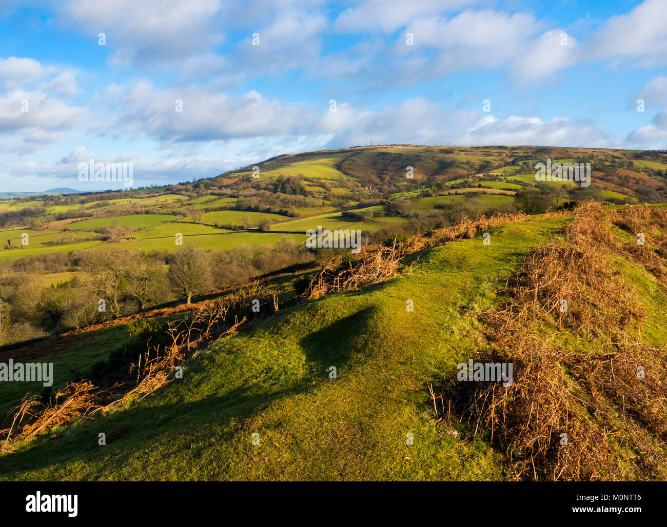 Abdon Burf on Brown Clee, Shropshire, seen from the ramparts of Nordy ...