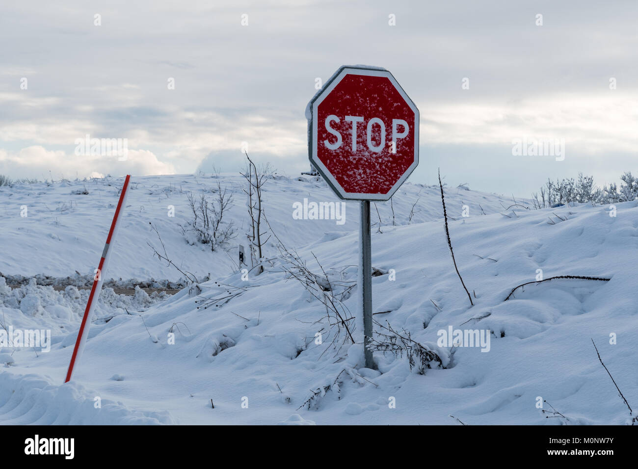 Snow covered red and white stop sign hi-res stock photography and ...