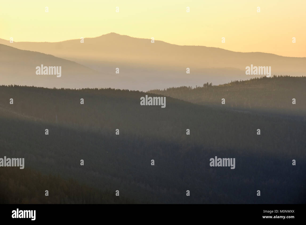 Czech forest hi-res stock photography and images - Alamy