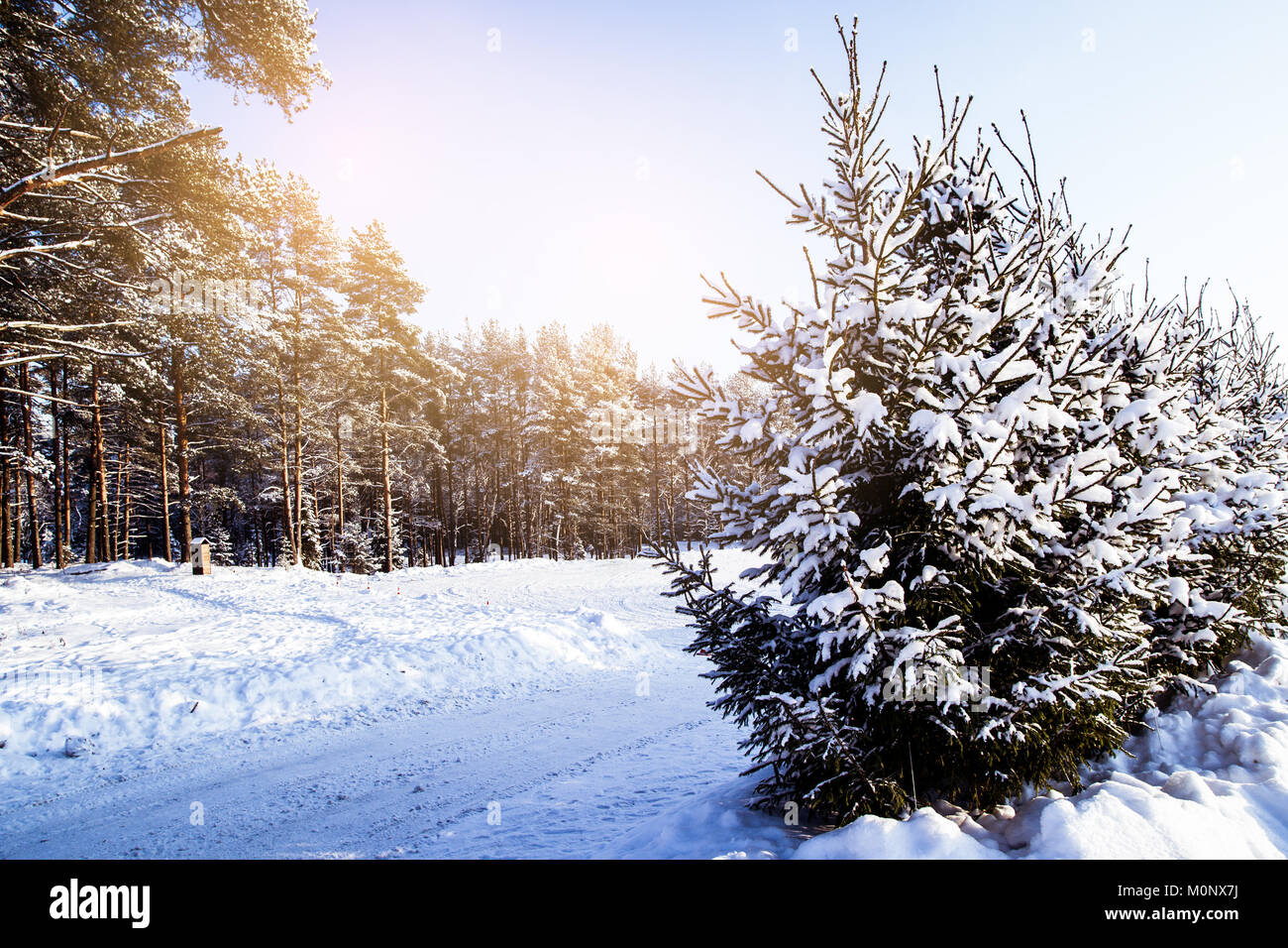Beautiful winter landscape with snow covered trees Stock Photo - Alamy