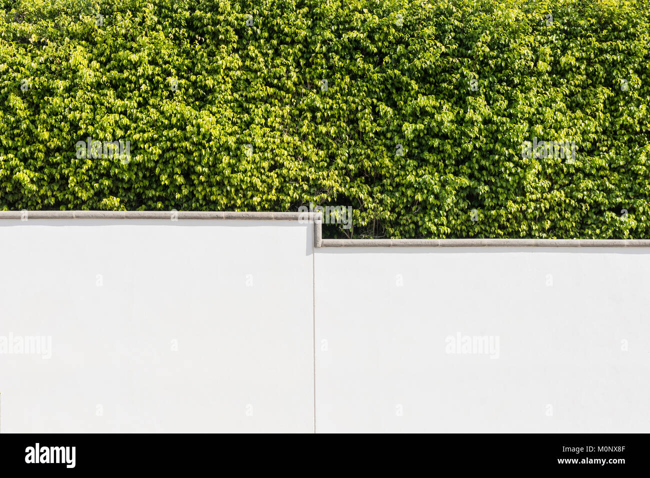 Perimeter Wall High Resolution Stock Photography and Images - Alamy